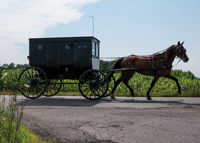 St. Lawrence Seaway & Great Lakes | Pearl Seas Cruises